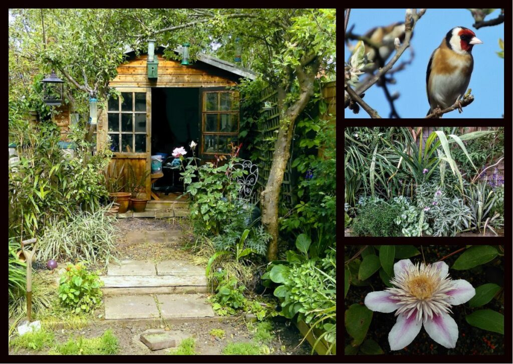 Walking to Wellness: An Unexpectedly Creative Path of Art and Nature ...